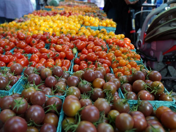 Producir Más Esperma 10 Consejos 3 Videos Estudios